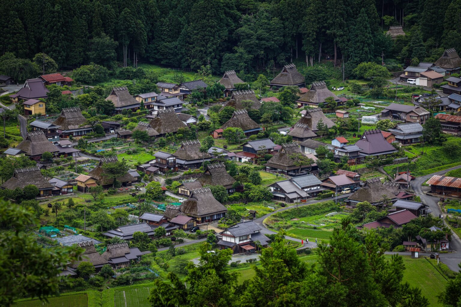 Miyama, the starting point for the revival of thatching culture in ...